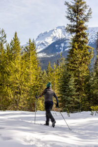 Explore Our Seasons - Snow - Mountains - Tourism Valemount